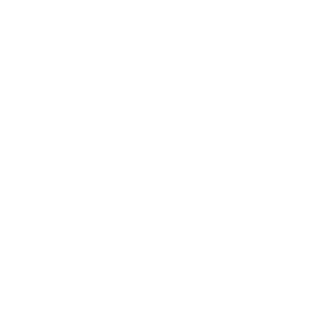 Our Charter Bus Fleet | Empire Coach Line, Inc.