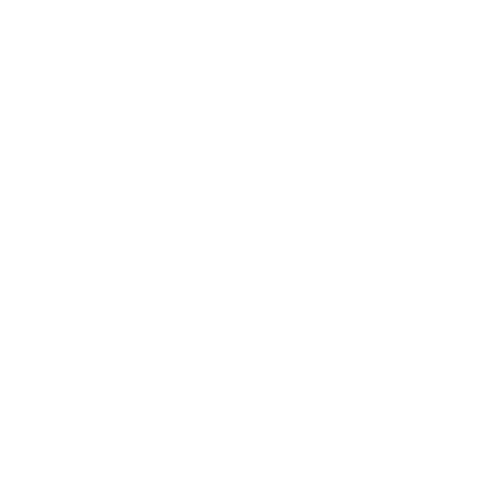 Our Charter Bus Fleet | Empire Coach Line, Inc.