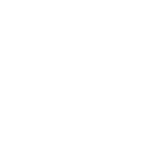 Our Charter Bus Fleet | Empire Coach Line, Inc.