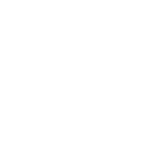 Our Charter Bus Fleet | Empire Coach Line, Inc.